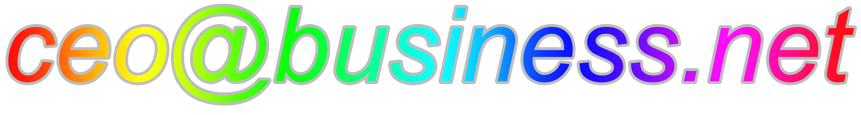 the official ceo@business.net – Opening Soon